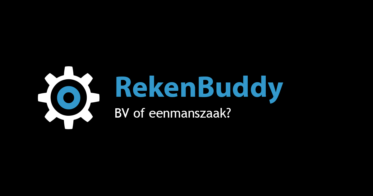 BV of eenmanszaak: Belasting en netto inkomen berekenen